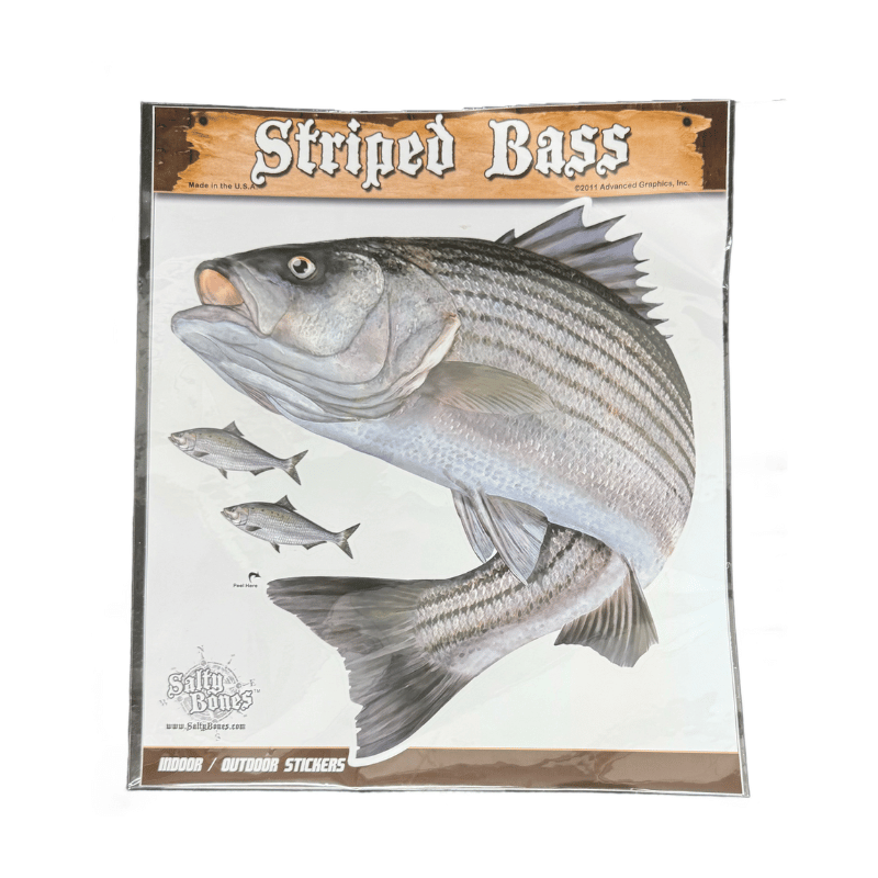 Salty Bones Striped Bass Sticker 10.5"x13.5" – Fisherman's Headquarters