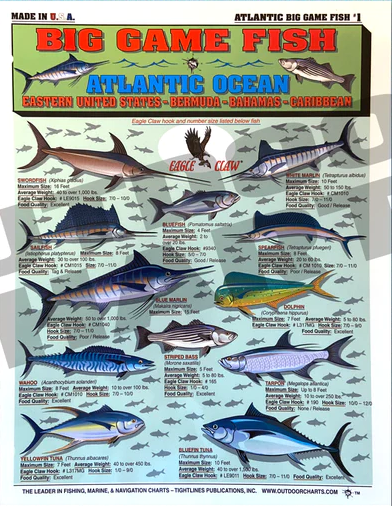 Tightlines Fish ID #1 Chart - Big Game Atlantic – Fisherman's Headquarters