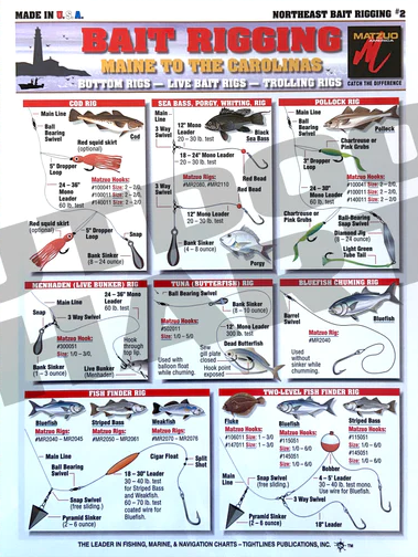Tightlines Bait Rigging #2 Chart – Fisherman's Headquarters