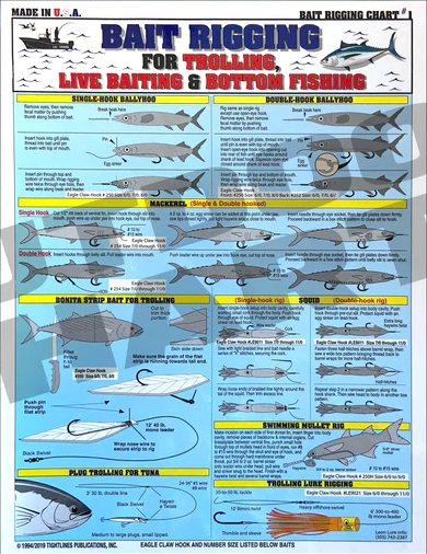 Tightlines Bait Rigging #1 Chart – Fisherman's Headquarters